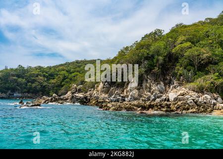 Tropical forest and cacti on the rugged shoreline of Huatulco National ...