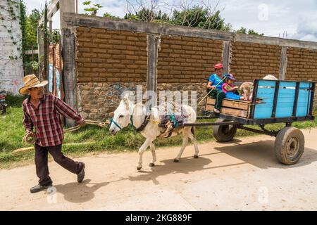 A farmer leads his donkey pulling a wagon carrying his family and sheep ...