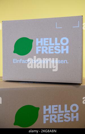 22 November 2022, Saxony-Anhalt, Barleben: Michaela Smith, head of ...