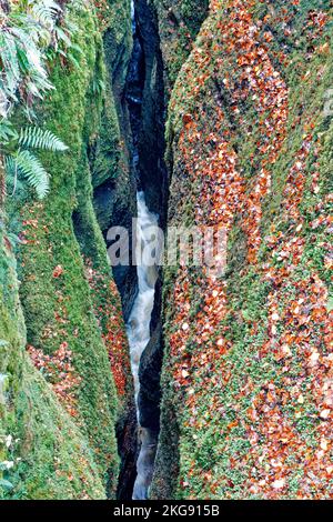 Black Rock Gorge Evanton Scotland view into the narrow 5 metre width ...