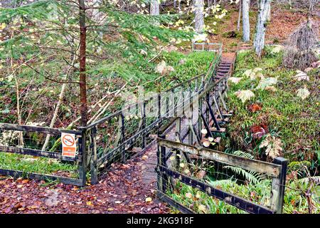 Black Rock Gorge Evanton Scotland autumnal view into the narrow 5 metre ...