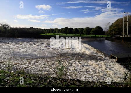 The river Taff at Blackweir bridge and salmon run after heavy rain ...