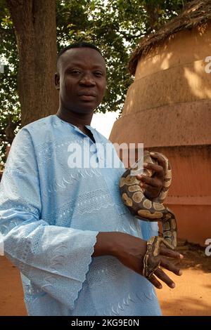 Son of chief priest with python, Temple of Pythons, Ouidah, Benin Stock ...