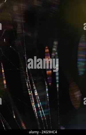 The long exposure view of glowing particles shining in the darkness ...