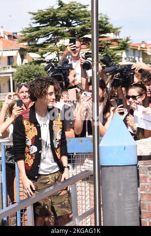 (KIKA) -Â Venezia 79: Timothee Chalamet meets fans, Barbara Palvin and ...