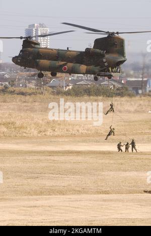 Fast roping from a chinook helicopter Stock Photo - Alamy