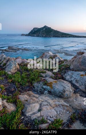 Cape Taillat, in Ramatuelle, French Riviera, France, Europe Stock Photo ...