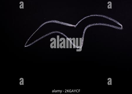 Chalk drawn bird on a blackboard in view Stock Photo - Alamy