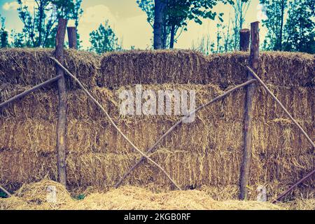 Hay bales stacks outdoors Stock Photo - Alamy