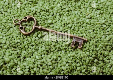 Retro style gold color key on green sand Stock Photo - Alamy