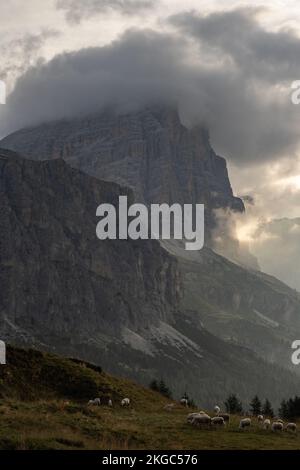 A vertical shot of the Passo Falzarego mountains under the cloudy sky ...