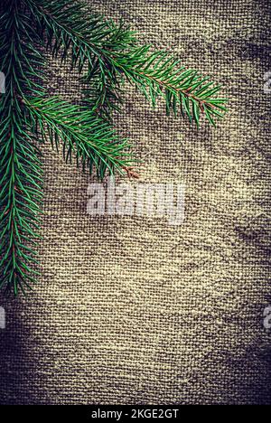 Fir tree twig on sacking background Stock Photo - Alamy
