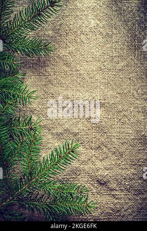 Fir tree twig on sacking background Stock Photo - Alamy