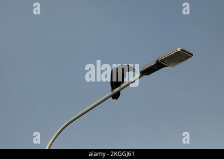 electricity post standing in the middle of the night light up by the ...