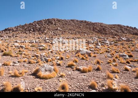 Bolivian High Plains landscape in Eduardo Avaroa Andean Fauna National ...