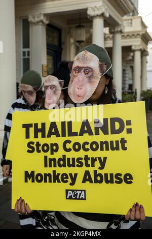 PETA activists dressed in monkey costumes protest Thailand’s Chaokoh ...