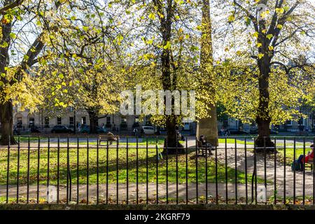 Queen Square in autumn or fall, Bath, Somerset, England, UK Stock Photo ...