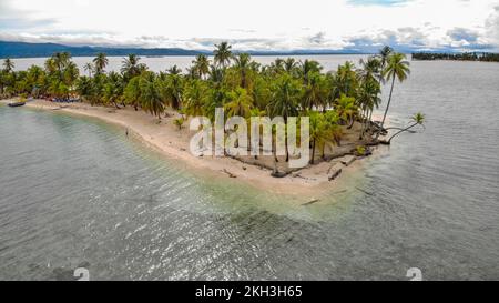 A picture postcard beach in remote Aitutaki atoll Cook Islands palm ...