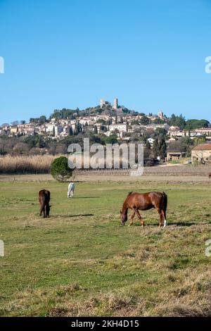 Grimaud a medieval village at the top of a hill from Massif des Maures ...