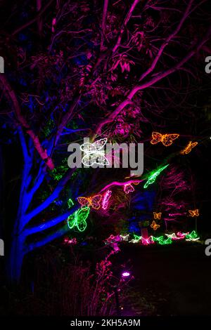 Romsey, Hampshire UK. 23rd November 2022. Preview evening of Light Up ...