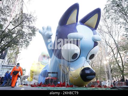 The Bluey balloon inflated for 96th Macy's Thanksgiving Day Parade on ...