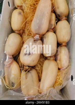 a box of fresh white lotus rhizome roots vegetable Stock Photo - Alamy
