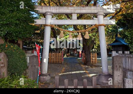 Shimenawa rice straw rope for purification Torii gate Mitake Jinja ...