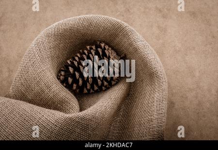 Pine cone on a linen canvas background Stock Photo - Alamy