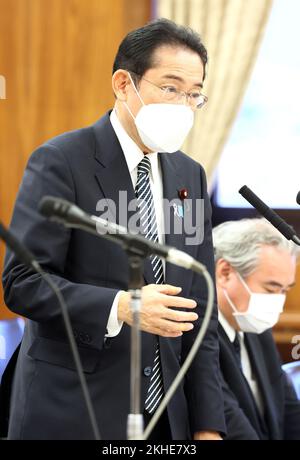 Tokyo, Japan. 24th Nov, 2022. The Shinjuku cityscape with the Tokyo city skyline viewed from the ...