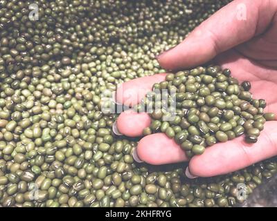 Woman hands holding green beans background Stock Photo - Alamy