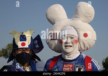 Qatar fans cheer before the World Cup Group B soccer match between ...