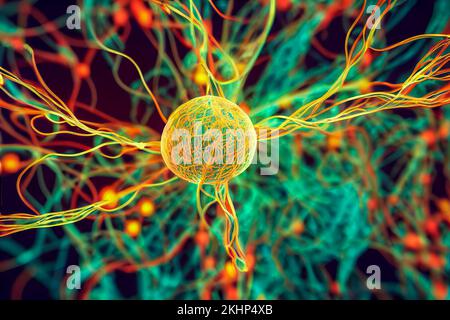 nerve pathways in the human body illustration 02 Stock Photo - Alamy