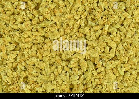Full frame of rotten wheat grains. Moldy wheat grains. Mycotoxins ...