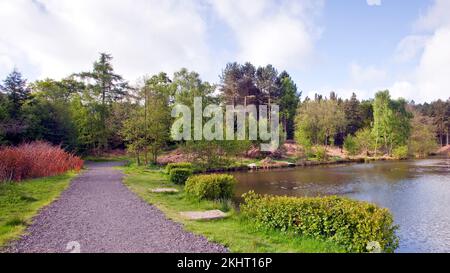Horsepasture Pool Beaudesert Old Park Cannock Chase AONB (area of ...