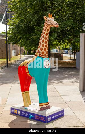 Giraffe about Town Wild in Art event, by Duke of Wellington statue ...
