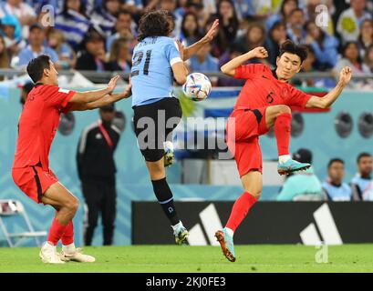 South Korea's Hwang In-beom during the FIFA World Cup Group H match at ...