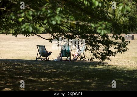 A parched Regent’s Park in London Stock Photo - Alamy