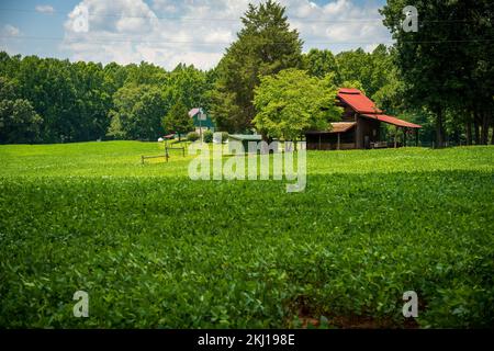 farmer's landscape in Virginia with farming barn Stock Photo - Alamy