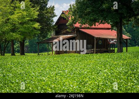 farmer's landscape in Virginia with farming barn Stock Photo - Alamy