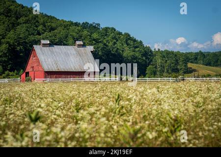 farmer's landscape in Virginia with farming barn Stock Photo - Alamy