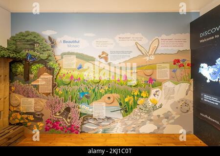 The South Downs Centre - exhibit in the National Park visitor centre in ...