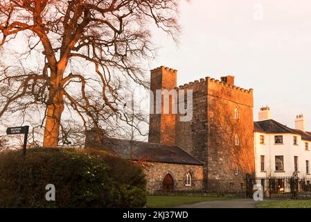 Ireland, County Kildare,Straffan, Barberstown Castle, exterior Stock ...