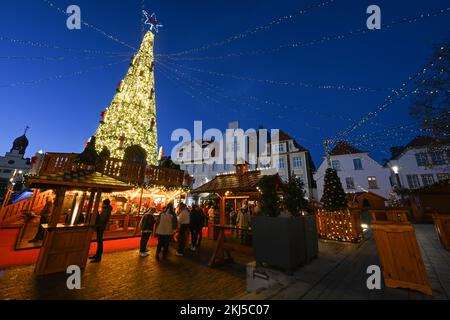 Lingen, Germany. 24th Nov, 2022. View of the walk-in Christmas tree ...