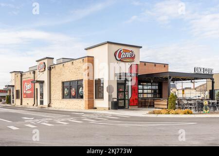 Raising Cane's is an American fast food restaurant chain that ...