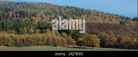 Late autumn colors after first light snow Lower Silesia Poland Stock ...