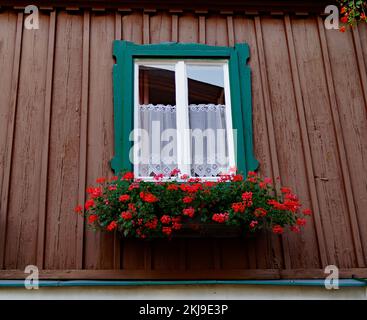 rustic alpine cabin or log cabin with geraniums on the window ledge in ...