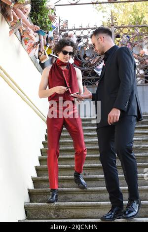 (KIKA) -Â Venezia 79: Timothee Chalamet, Luca Guadagnino, Chloe Sevigny ...