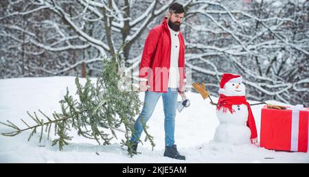 Santa man posing with axe and Christmas tree. Man is going to cut a ...