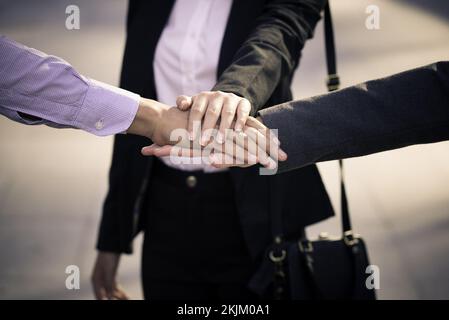 Professional young business people handsake, united, joining , combine ...