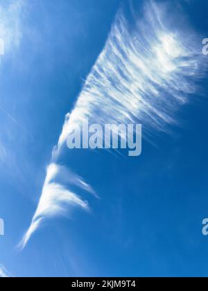Feather cloud Cirrus Zirrus, ice cloud at high altitude, cloud image ...